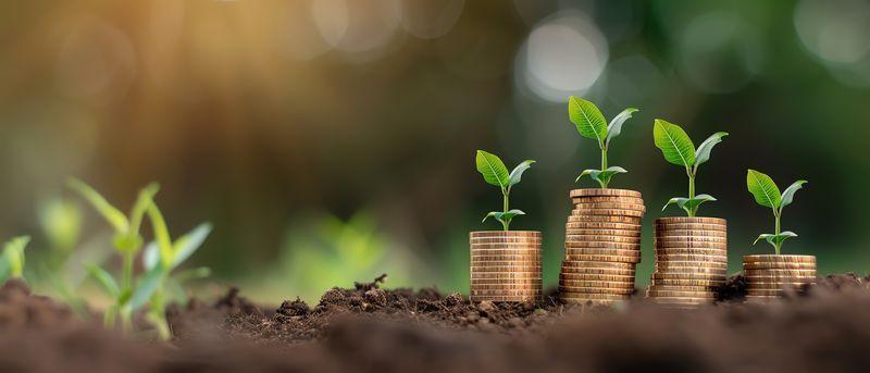 Understanding Private Equity Valuations: Key Metrics and Methods